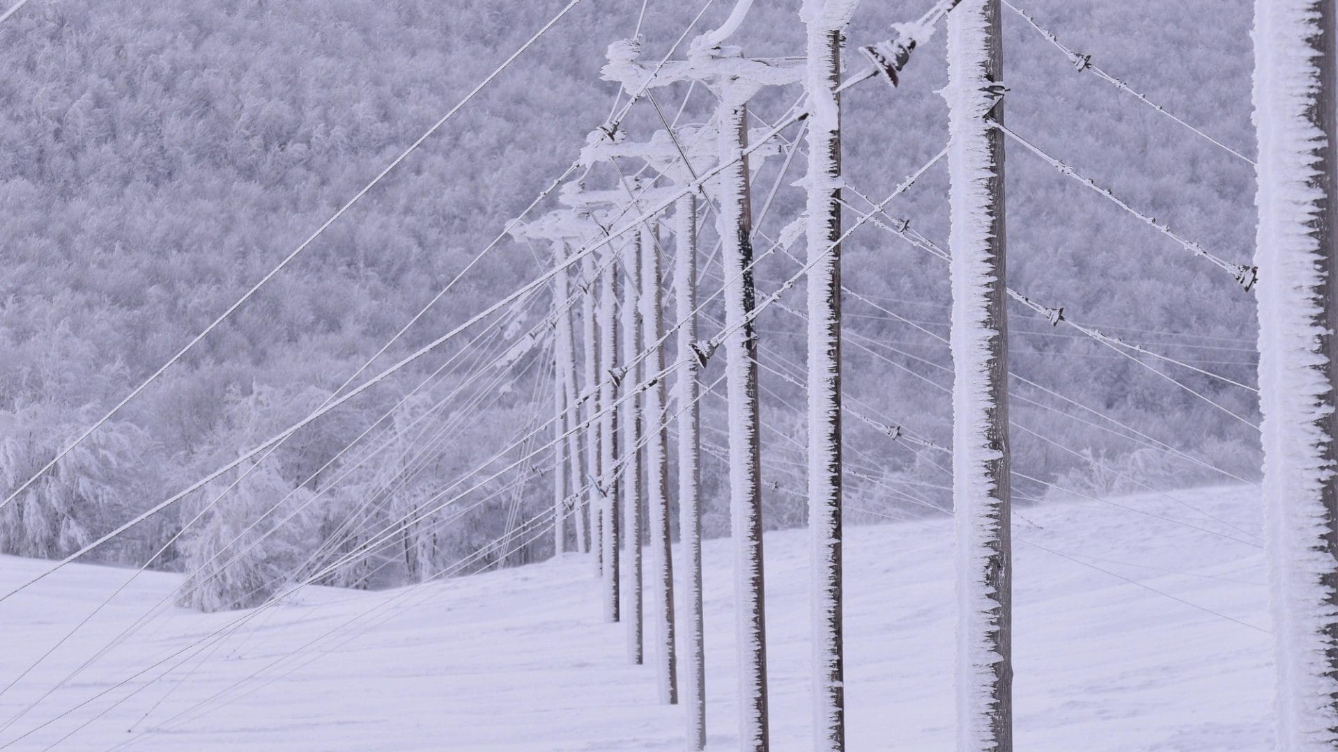 How To Prepare Your Utilities for Winter | Watchdog Management Services